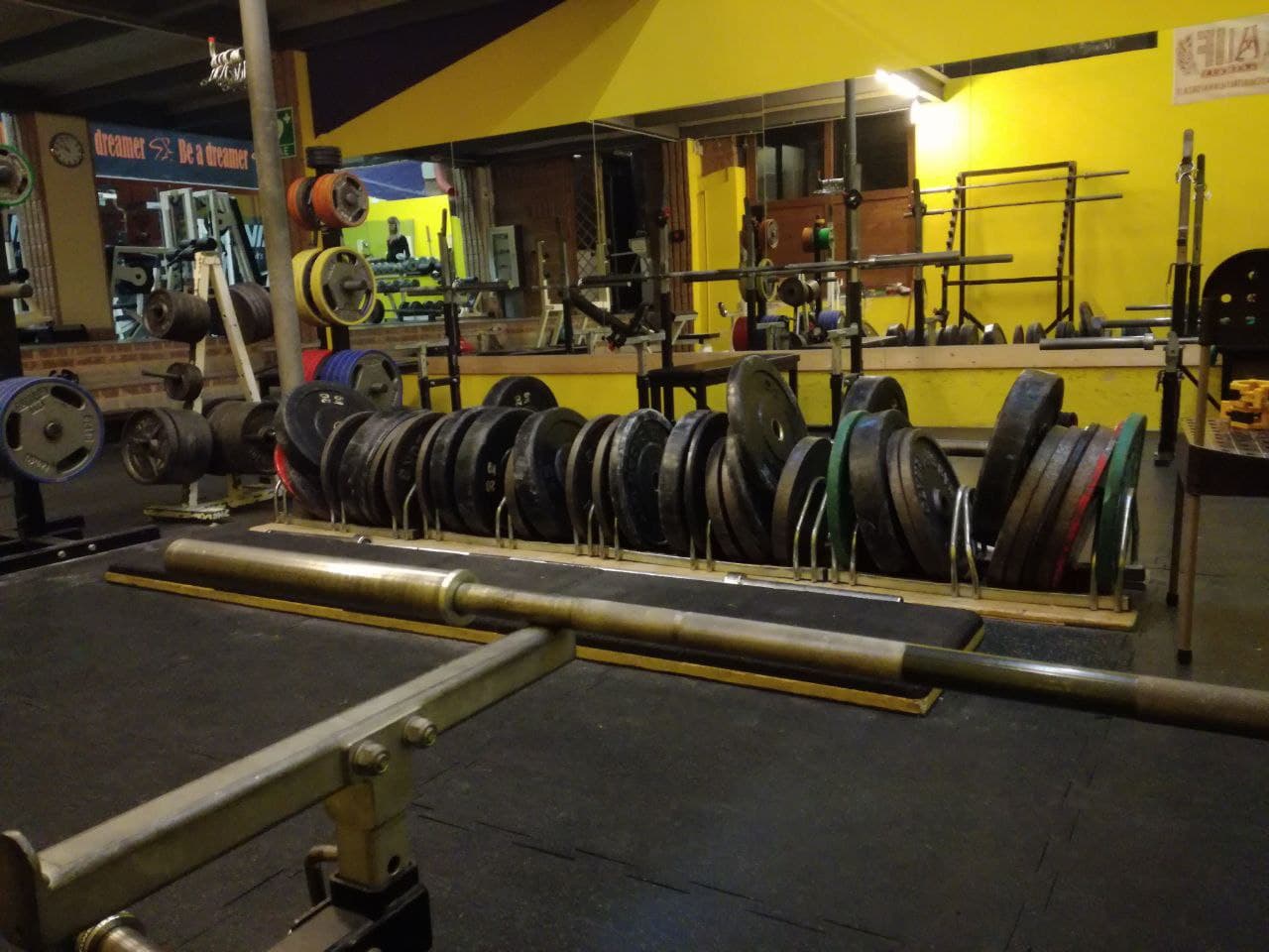 Mtdng - Website - ABOUT